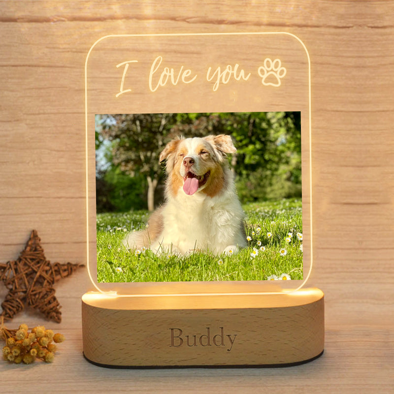 Custom Photo 3d Lamp with Pet Picture, Personalized Pet Night Light for ...